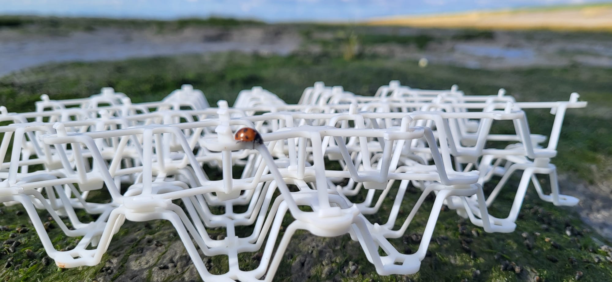 Biodegradable Hexagon Structures for Ecosystem Restoration - Bese Products